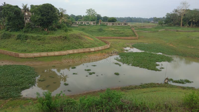 Wetland and water stock image. Image of wetland, grassland - 220776513