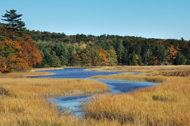 Wetlands stock image. Image of marsh, fall, river, foliage - 4243549