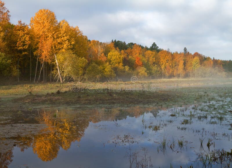 Wetlands in autumn. stock photo. Image of marsh, autumn - 25497152