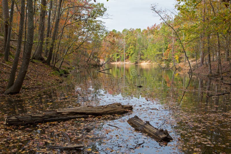 Wetlands in Autumn stock photo. Image of water, leaves - 61728764
