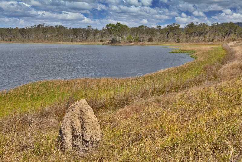 Wetlands Billabong Australian Swamp Stock Image - Image of australian ...