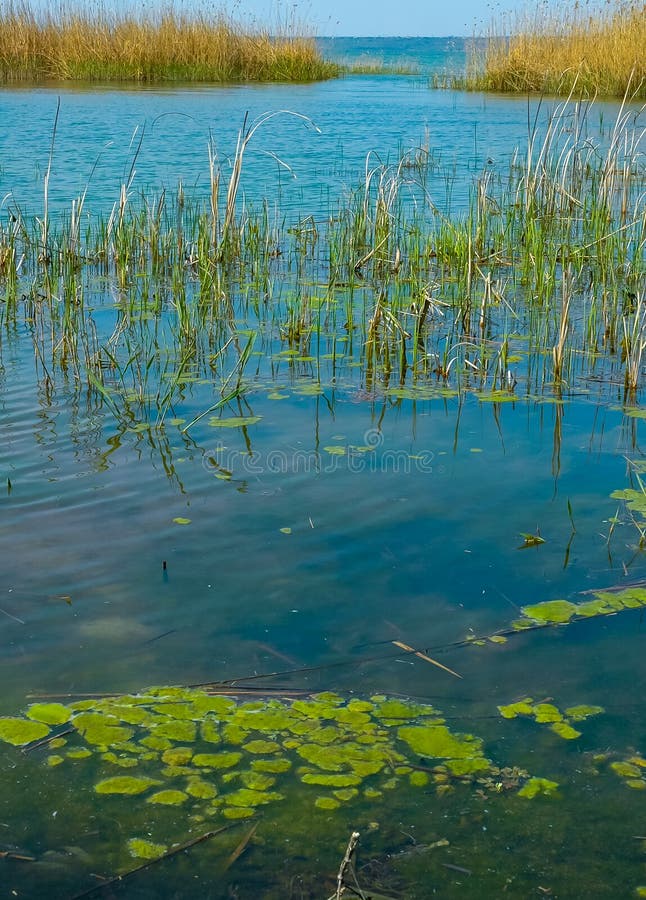 141 Floating Beds Stock Photos - Free & Royalty-Free Stock Photos from ...