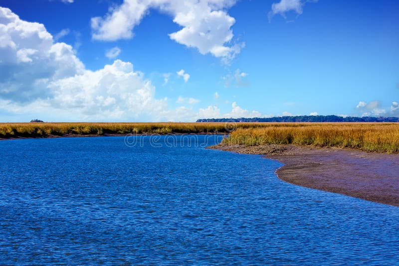 Blue Water at Marsh Edge stock image. Image of wetland - 123345365
