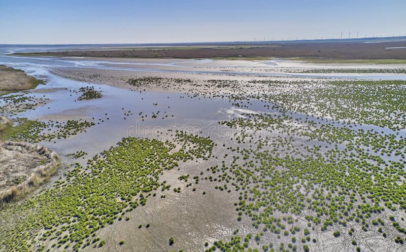 Wetlands, Protected Nature Shot in the Netherlands Stock Image - Image ...
