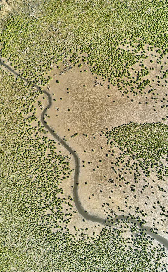 Wetlands, Protected Nature Shot in the Netherlands Stock Photo - Image ...