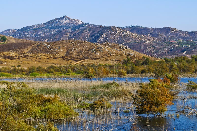 562 Area 55 Stock Photos - Free & Royalty-Free Stock Photos from Dreamstime