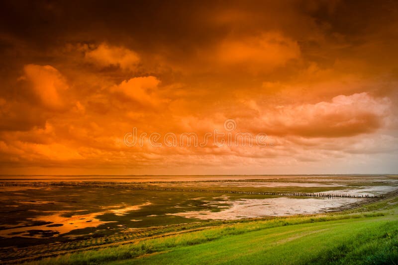 Wetlands at sunset stock photo. Image of cloudscape, dramatic - 18271516