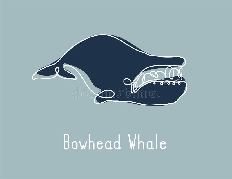 Single Continuous Line Drawing of Bowhead Whale for Marine Company Logo ...
