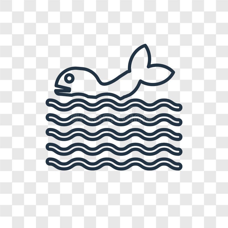 Whale Concept Vector Linear Icon Isolated on Transparent Background ...