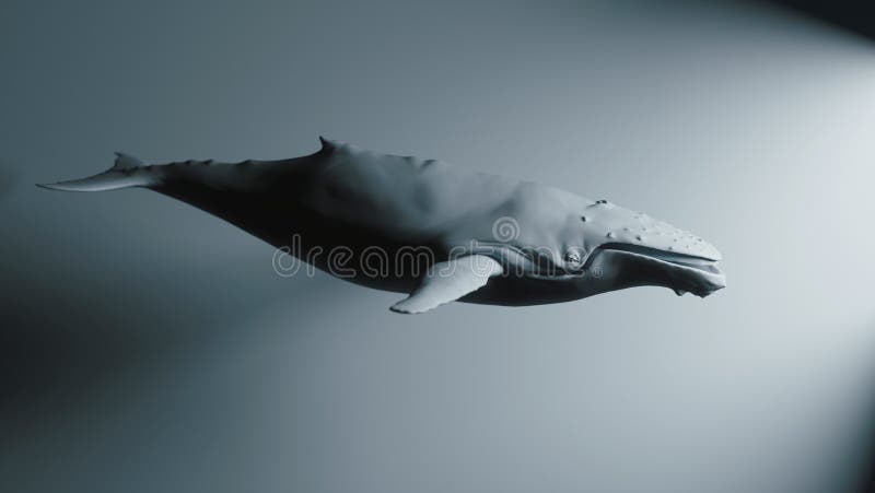 Concept Art Design of Blue Whale Stock Illustration - Illustration of ...