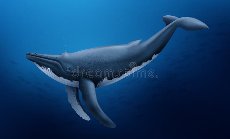 Whale at Depth Realistic Composition Stock Illustration - Illustration ...