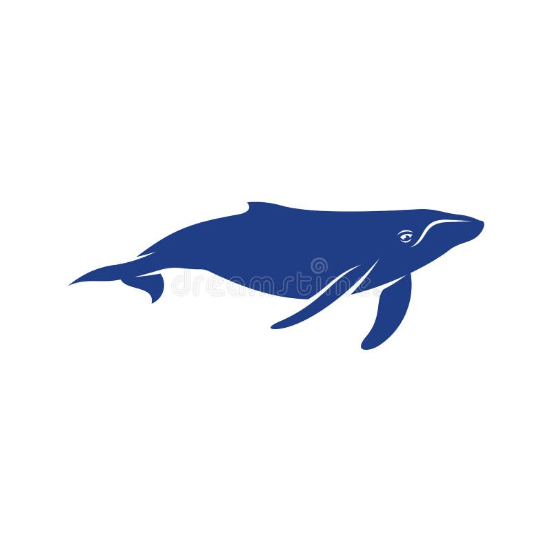 Whale Design Vector, Creative Whale Illustration Template Stock Vector ...
