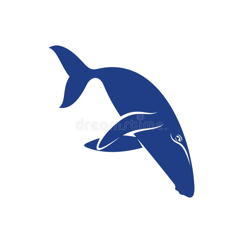 Whale Design Vector, Creative Whale Illustration Template Stock Vector ...