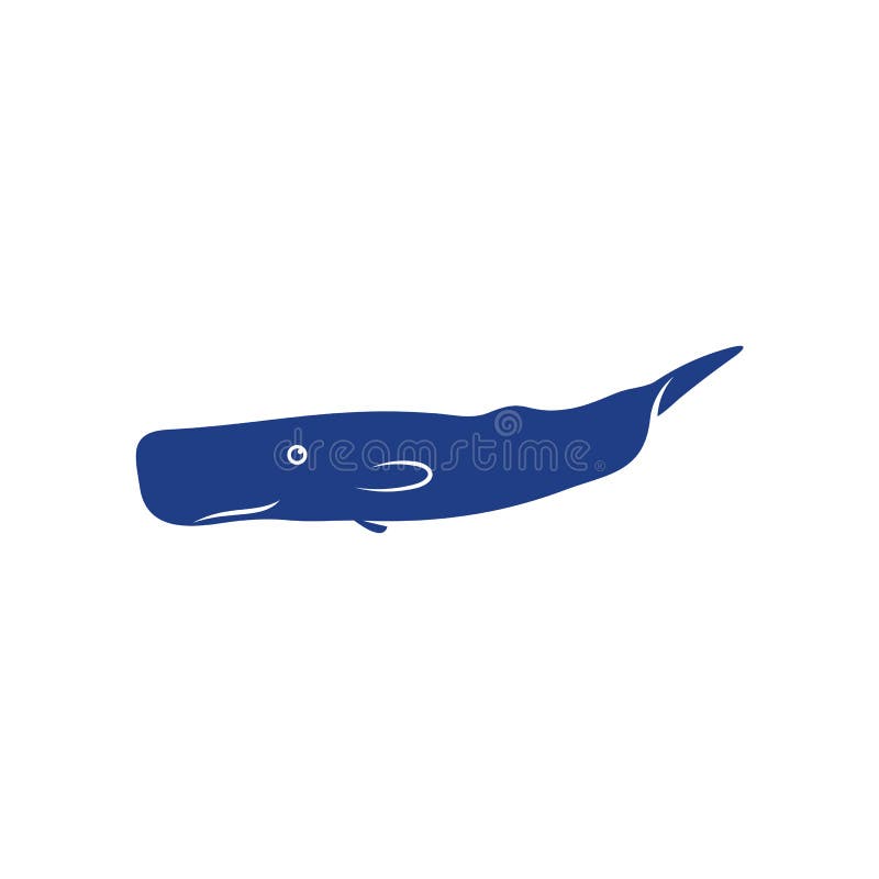 Whale Design Vector, Creative Whale Illustration Template Stock Vector ...