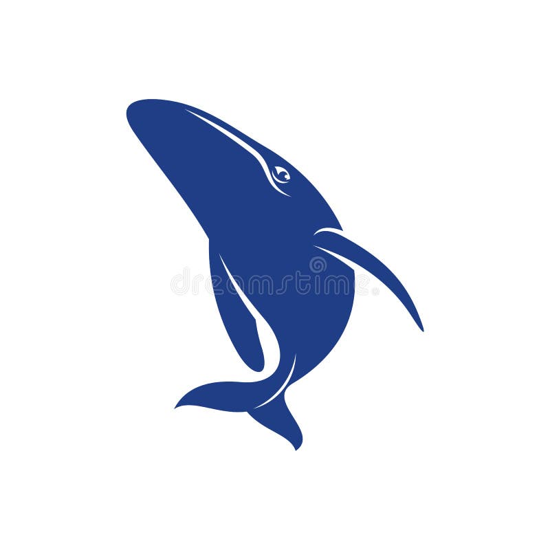 Whale Design Vector, Creative Whale Illustration Template Stock Vector ...