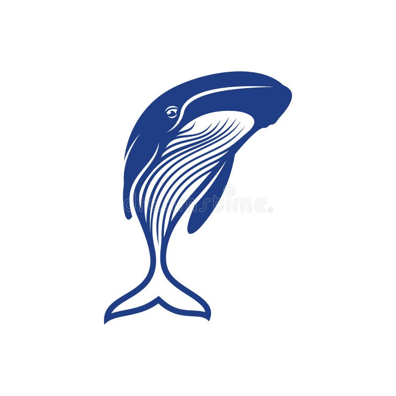 Whale Design Vector, Creative Whale Illustration Template Stock Vector ...
