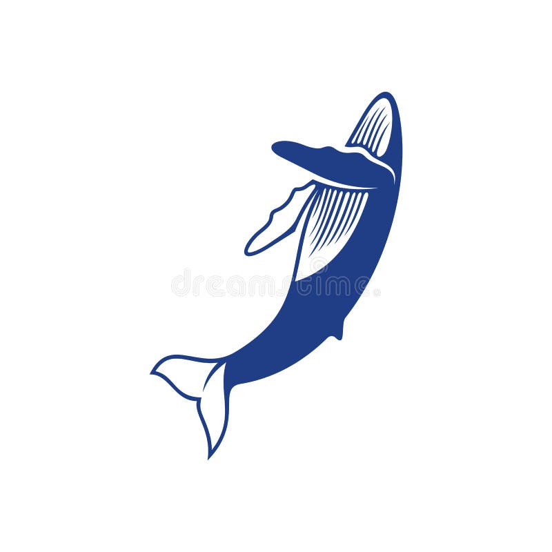 Whale Design Vector, Creative Whale Illustration Template Stock Vector ...