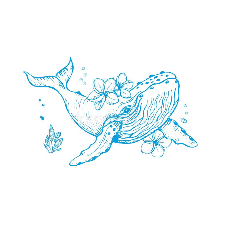 Whale Handdrawn Vector Composition with Flowers Blue Ink Stock Vector ...