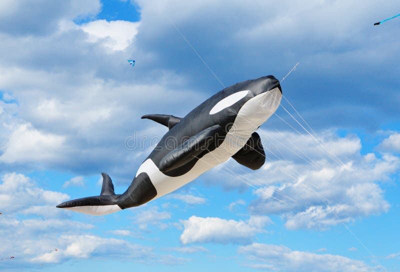 Whale Kite stock photo. Image of festival, blue, clouds - 83075320