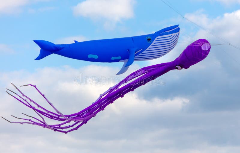 A Whale Kite and a Squid Flies in the Sky Stock Image - Image of event ...
