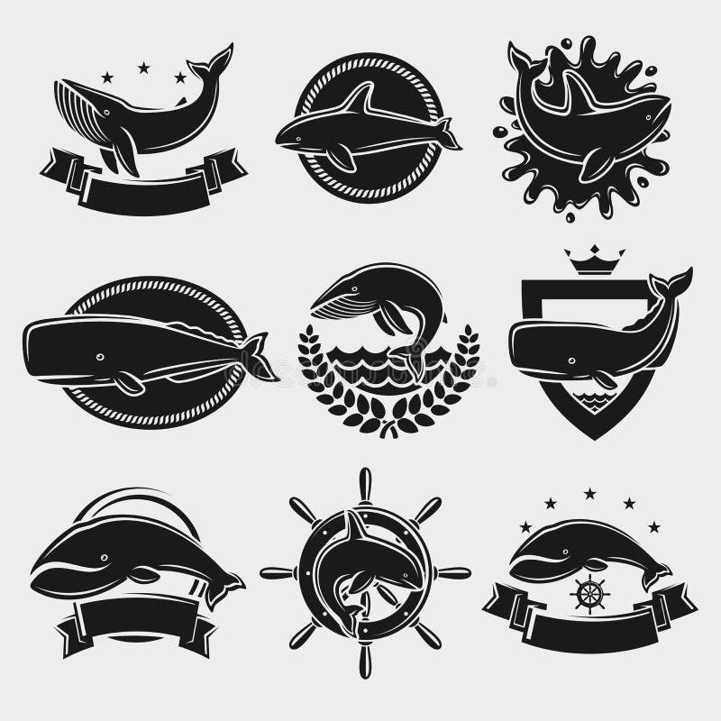 Whale Label and Icons Set. Vector Stock Vector - Illustration of fish ...