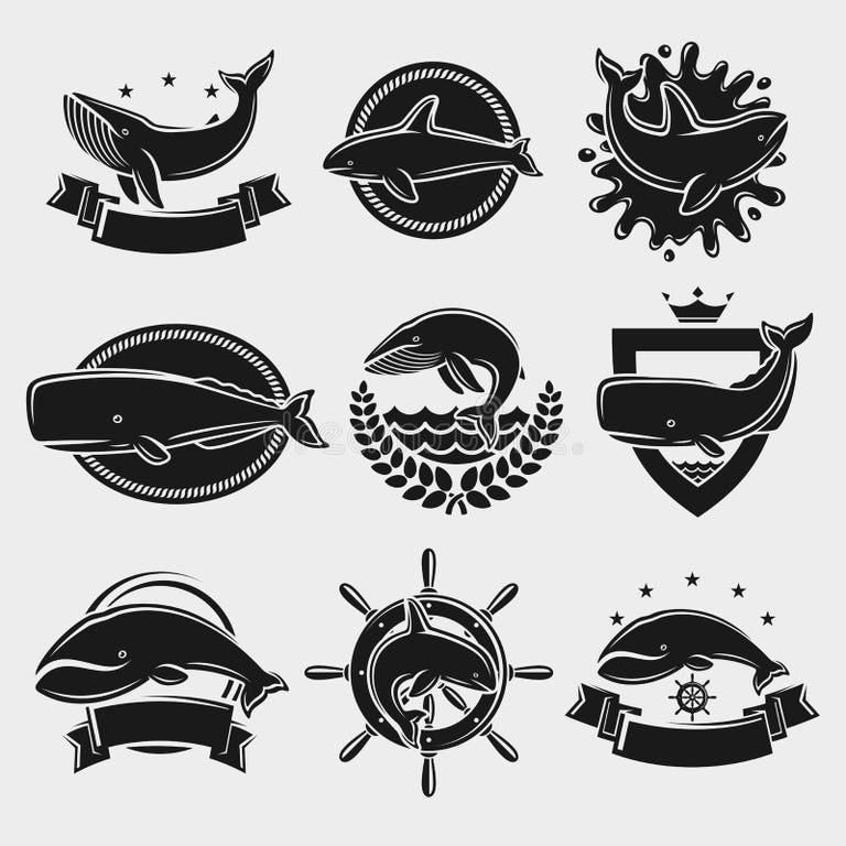 Whale Label and Icons Set. Vector Stock Vector - Illustration of fish ...