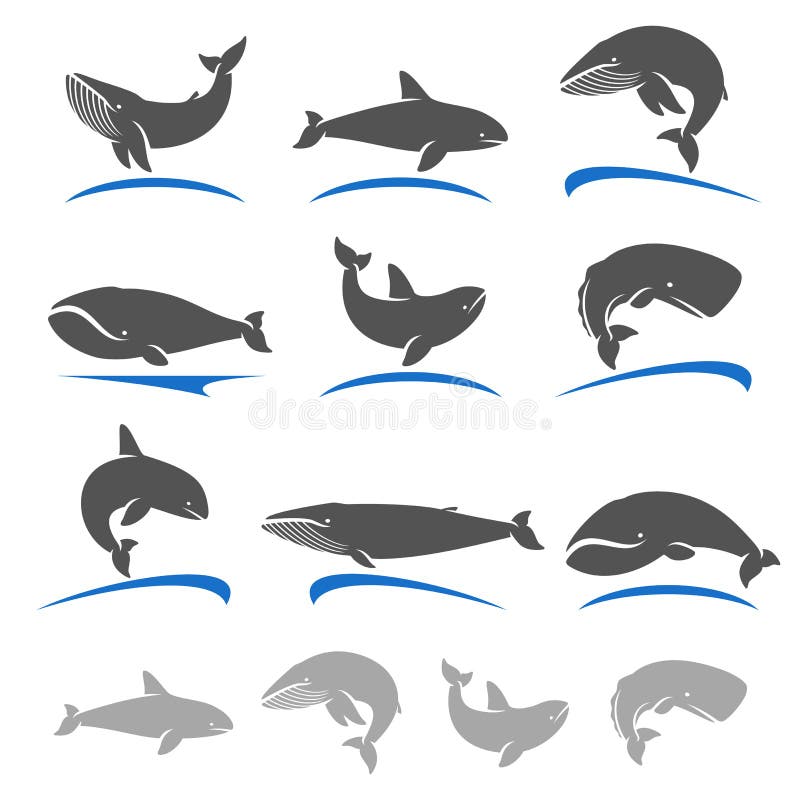Whale set. Vector stock vector. Illustration of natural - 63385318
