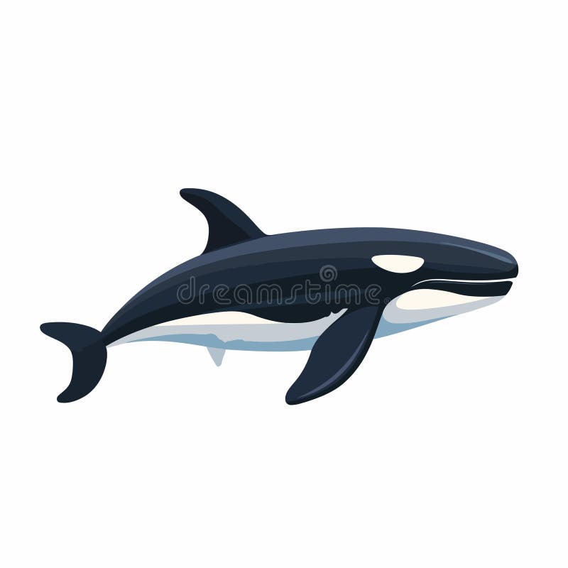 Whale Vector Flat Minimalistic Asset Isolated Illustration Stock Vector ...