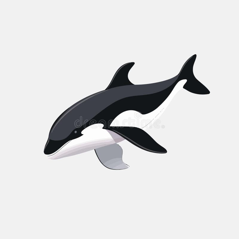 Whale Vector Flat Minimalistic Asset Isolated Illustration Stock Vector ...