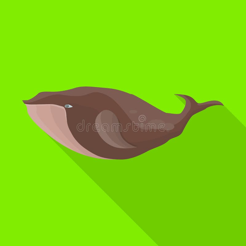 Whale Gray Vector Icon.Cartoon Vector Icon Isolated on White Background ...