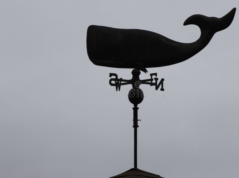 Whale wind vane stock image. Image of vane, weather, nautical - 44064911