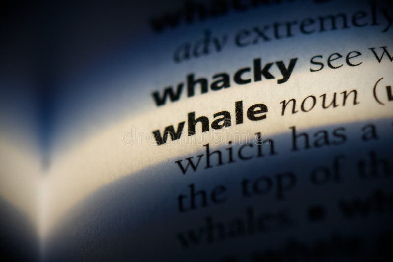 Whale stock image. Image of idea, reference, whale, definition - 161579047