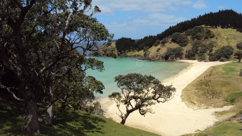 Whananaki, Nuova Zelanda fotografia stock. Immagine di timore - 39361298