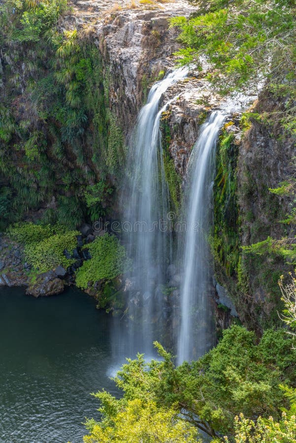 Whangarei Falls at New Zealand Stock Image - Image of falls, sunny ...
