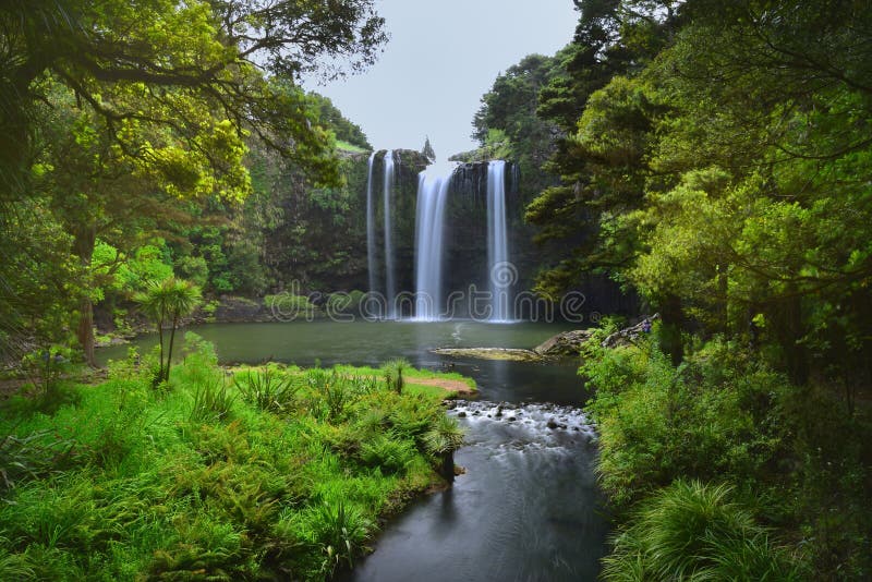 The Whangarei Falls and River Stock Image - Image of falls, stream ...