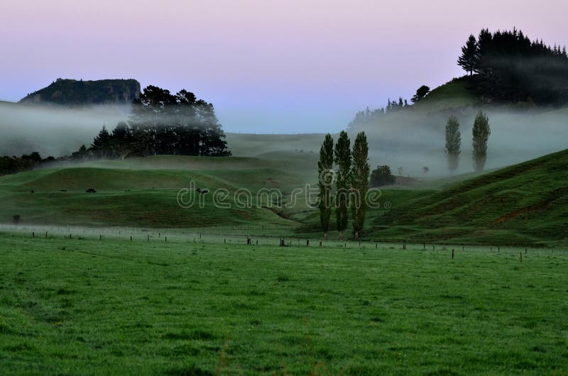 Whangaroa Harbor New Zealand Stock Image - Image of harbor, hill: 27244033