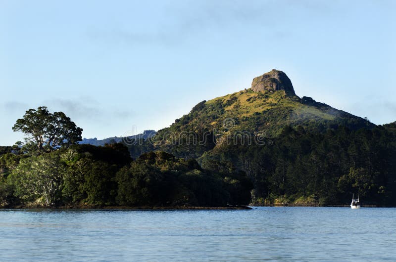 Whangaroa Harbor New Zealand Stock Photo - Image of farm, landscape ...