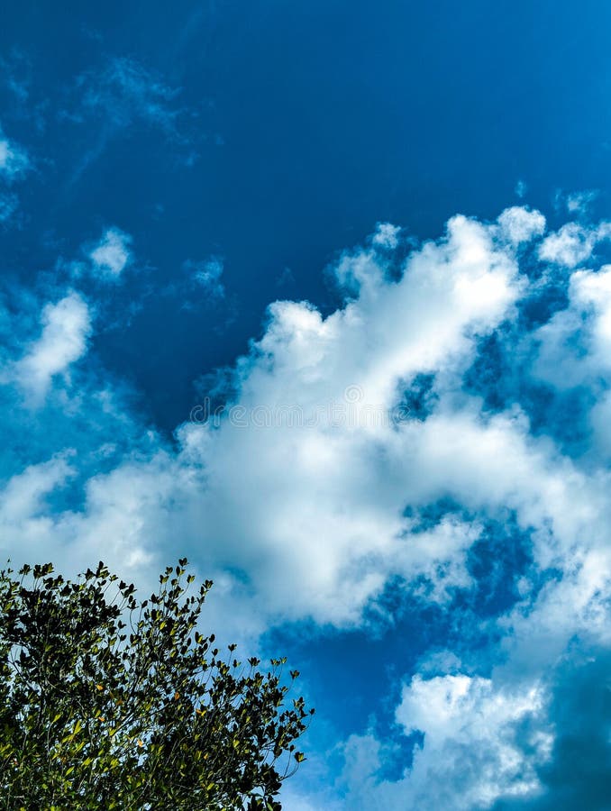 What a Beautiful, Almighty Creation Stock Photo - Image of creation ...