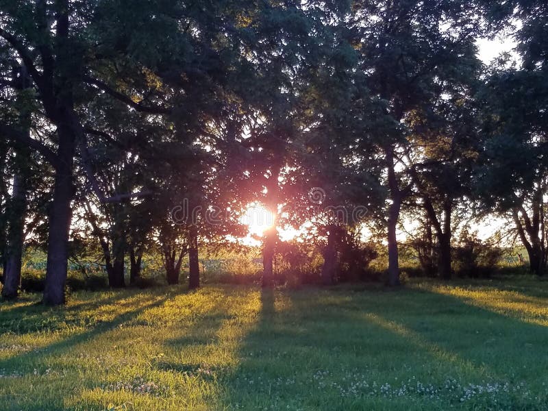 What a beautiful evening stock photo. Image of evening - 160943418