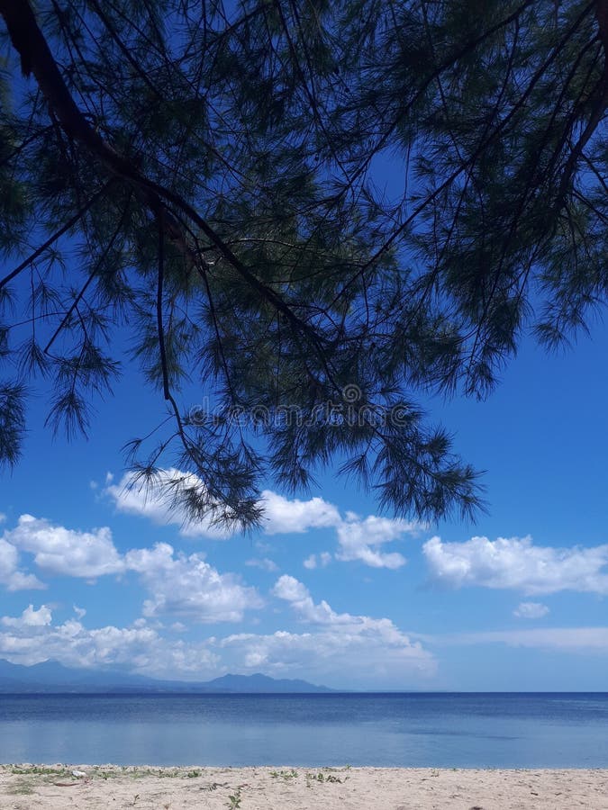 What a Beauty Beach during the Day Stock Photo - Image of landscape ...