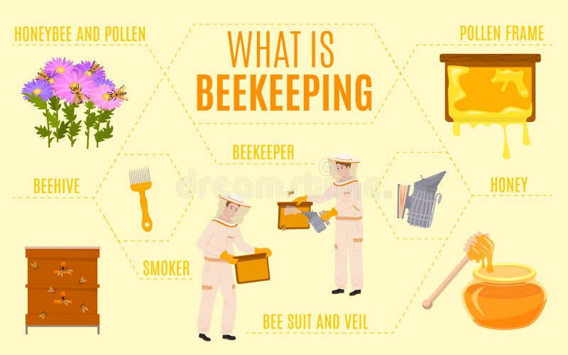 Beekeeping Infographics Stock Illustrations – 148 Beekeeping ...