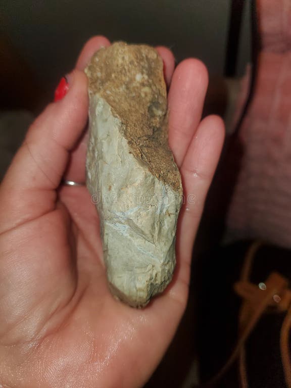 What is it Bone, Rock, Fossil Stock Photo - Image of animal, organ ...