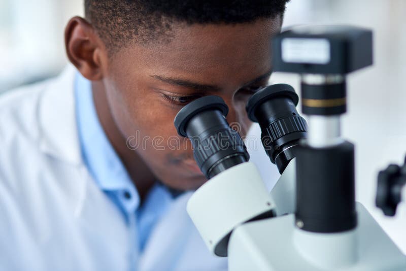 What Can You See. a Focused Young Male Scientist Looking at Test ...