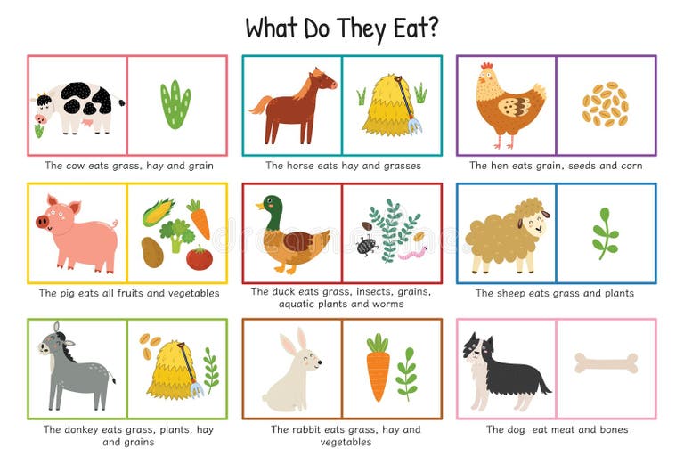 What Do they Eat Educational Poster for Kids. Animals and Food they Eat ...