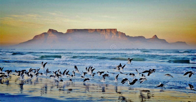 What a glorious morning stock photo. Image of texture - 101173356