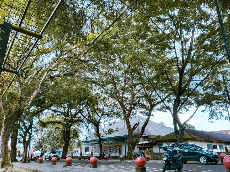 What I See What I Get Like this View Editorial Photo - Image of autumn ...