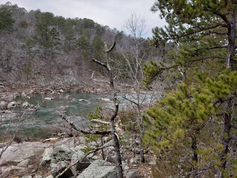 What we Ignore stock image. Image of nature, ignore - 173739445