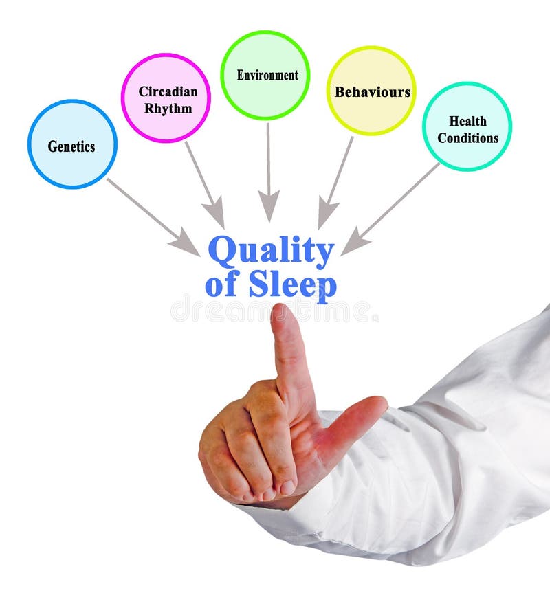 Quality of Sleep stock photo. Image of circadian, 1825 - 172685480