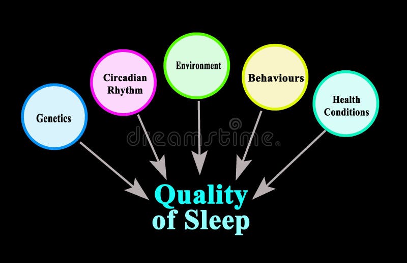 Quality of Sleep stock illustration. Illustration of virtual - 240107885
