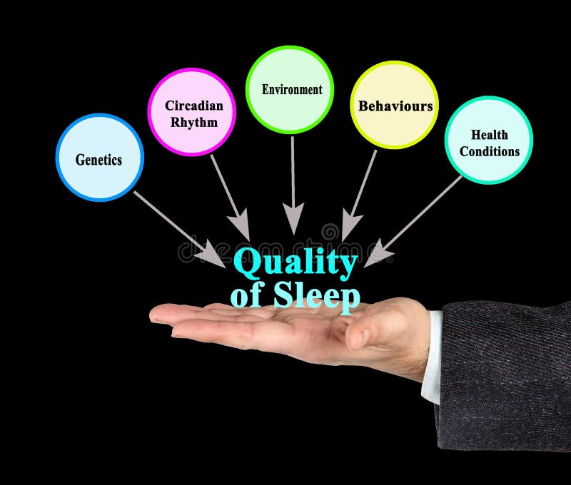 Quality of Sleep stock photo. Image of behaviours, person - 240107894
